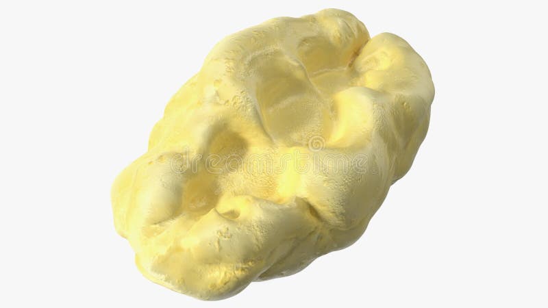 Realistic Butter Popcorn Kernel for Animation Projects Stock ...