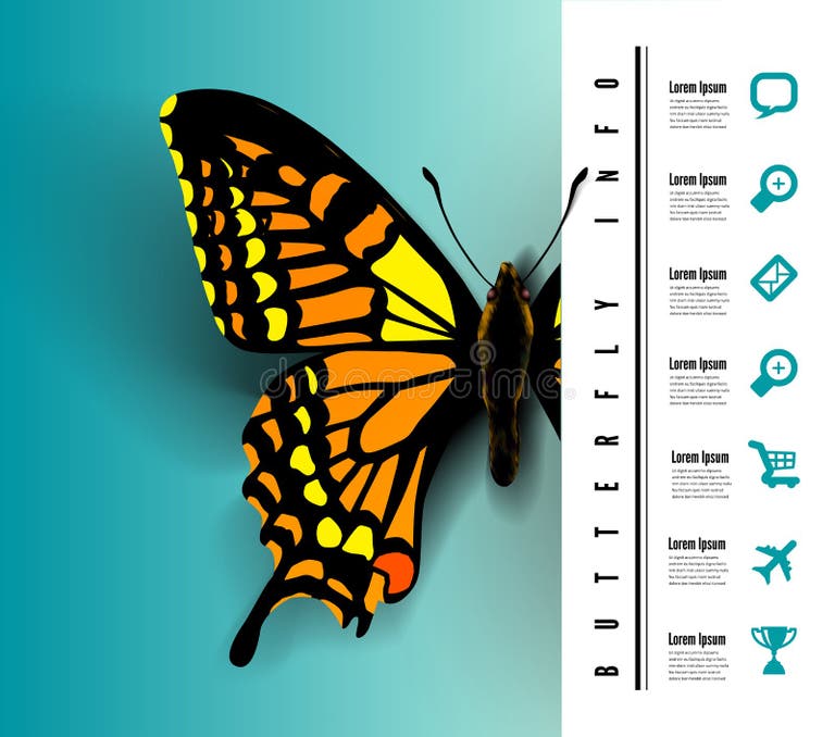 Butterfly Infographics Stock Illustrations – 517 Butterfly Infographics ...