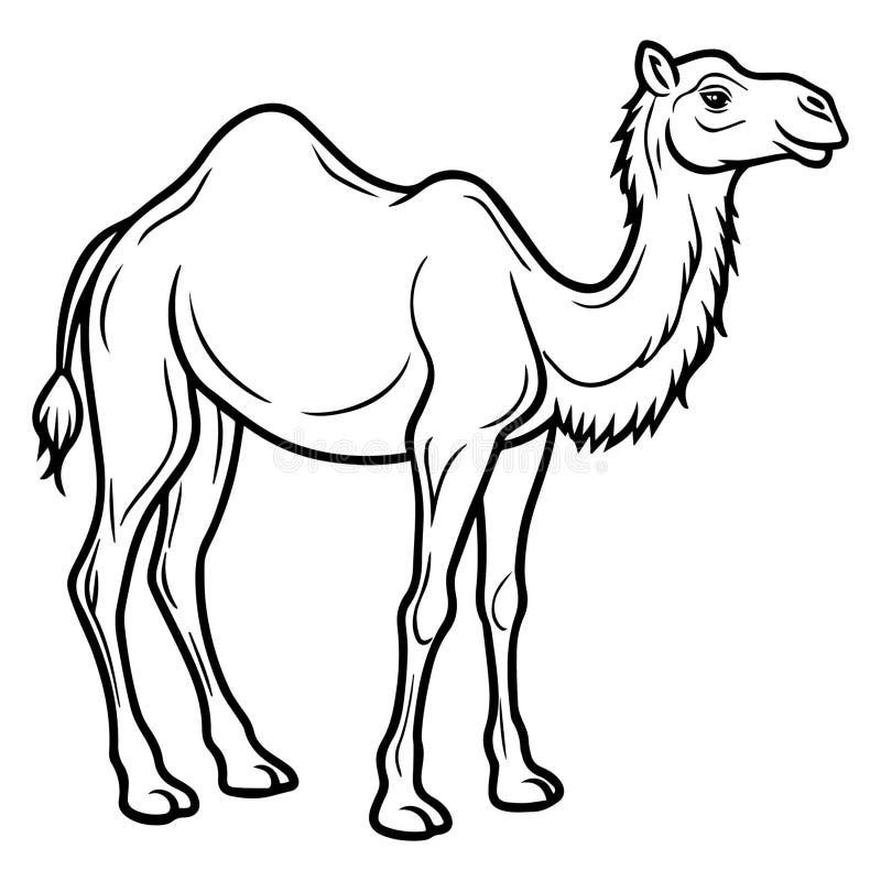 Cameldrawing Stock Illustrations – 69 Cameldrawing Stock Illustrations ...
