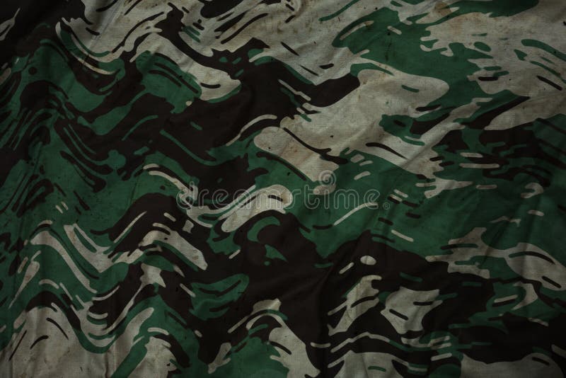 242 Realistic Camo Pattern Stock Photos - Free & Royalty-Free Stock ...