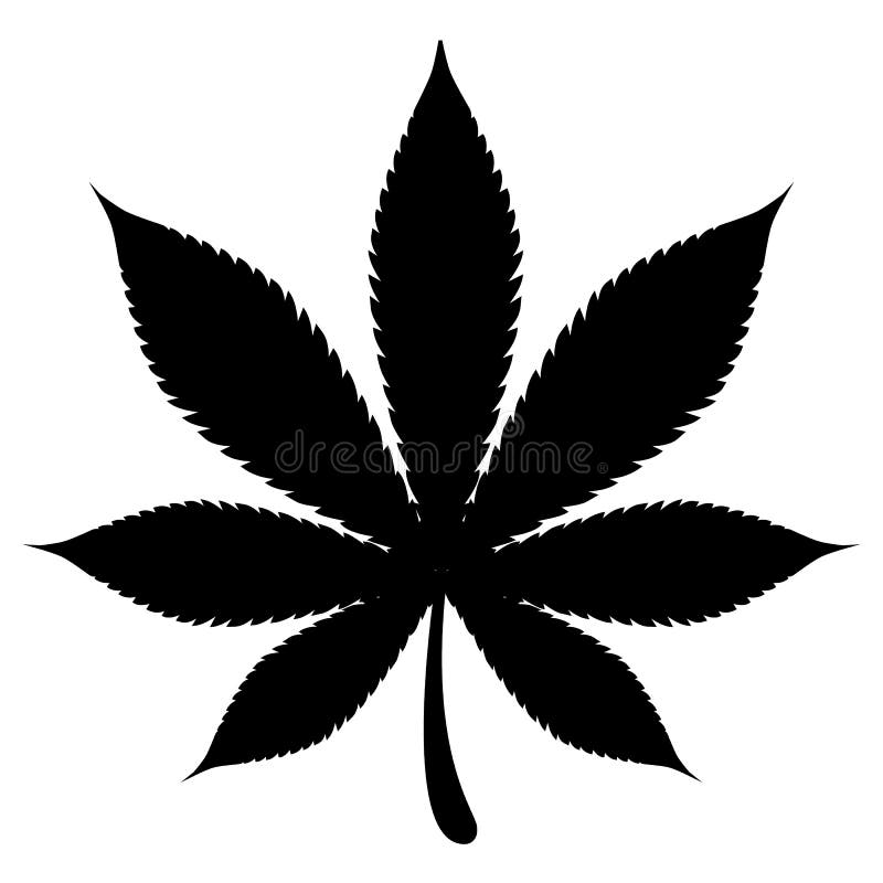 Realistic Cannabis Leaf Silhouette. Vector Icon Illustration. Stock ...