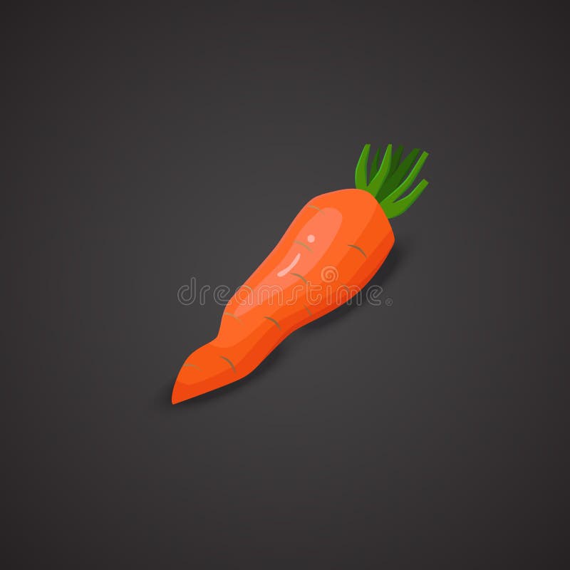 Carrot Vector Icon. Realistic Vegetable. Stock Vector - Illustration of ...