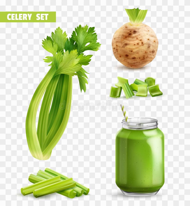 Realistic Celery Transparent Icon Set Stock Vector - Illustration of ...