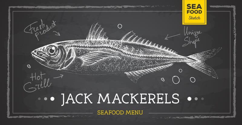 Realistic Chalk Drawing Trachurus Fish. Seafood Menu Design Stock ...
