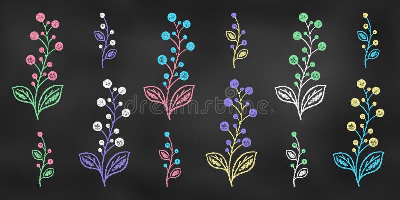 Realistic Chalk Drawn Sketch. Set of Design Elements Twigs with Berries ...