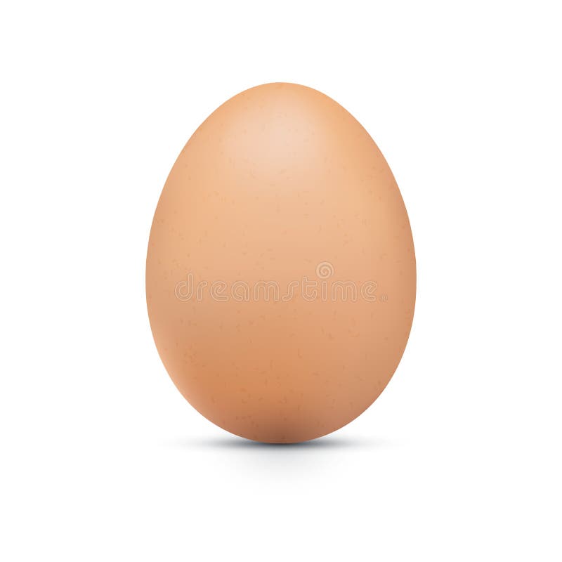 Realistic Chicken Brown Egg with Shadow. Closeup 3d Whole Hen Egg ...