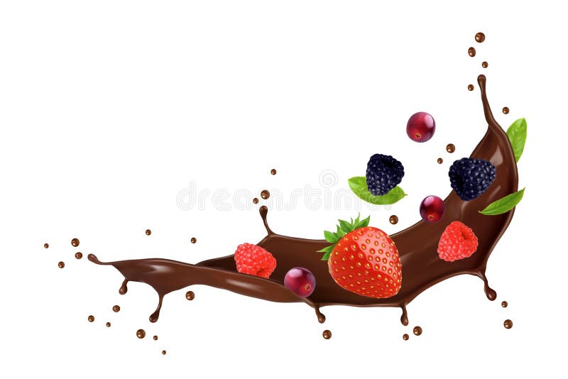 Realistic Chocolate Milk Flow Splash with Berries Stock Vector ...