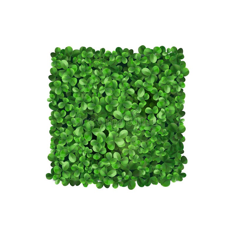 Realistic Clover Grass Composition Stock Vector - Illustration of leaf ...