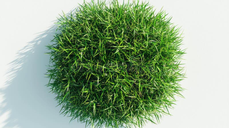 Realistic Clump of Green Grass Isolated on White Background for Natural ...