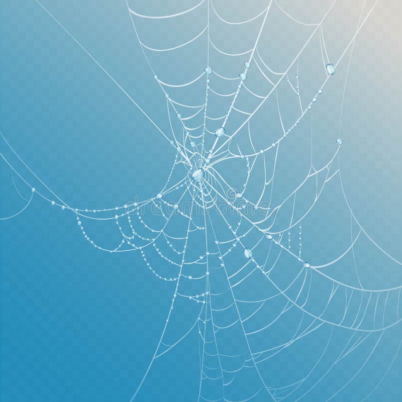 Realistic Cobweb Blue Sky Background Design Illustration Stock Vector ...