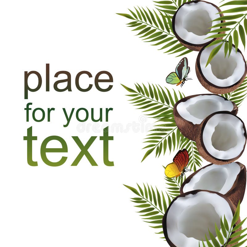 Realistic Coconut in Water Splash, Vector Palm Leaves and Ice Cubes ...