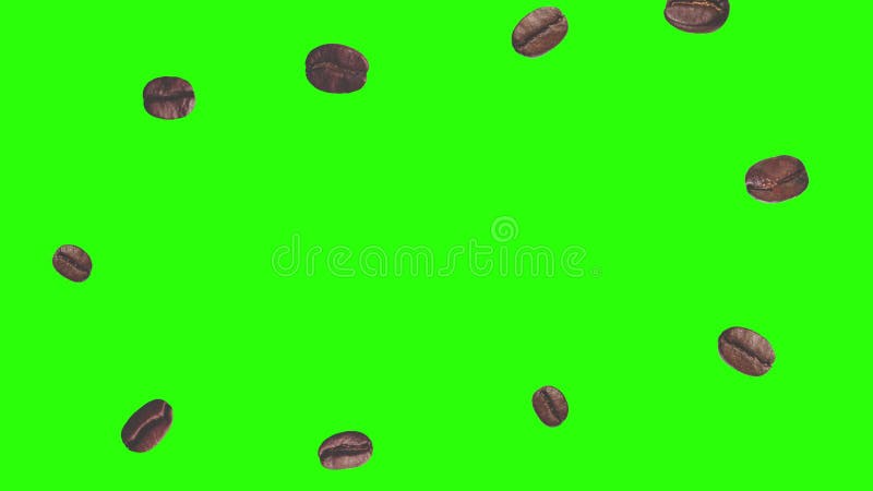 Realistic Coffee Beans Animation Graphic Element on Green Screen Chroma ...
