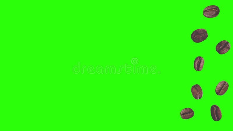 Realistic Coffee Beans Animation Graphic Element on Green Screen Chroma ...