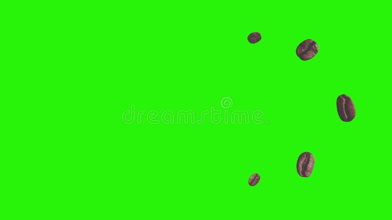 Realistic Coffee Beans Animation Graphic Element on Green Screen Chroma ...