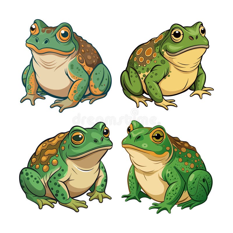 Realistic Colchic Toad Beautiful Wildlife Illustration Stock Vector ...