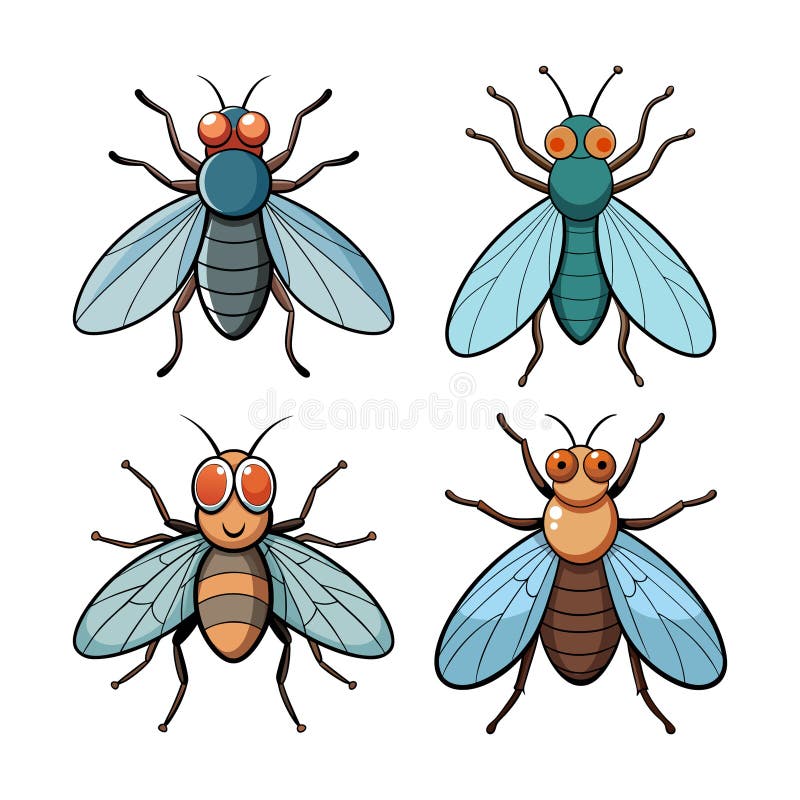 Realistic Color Illustration of Cluster Fly Stock Illustration ...