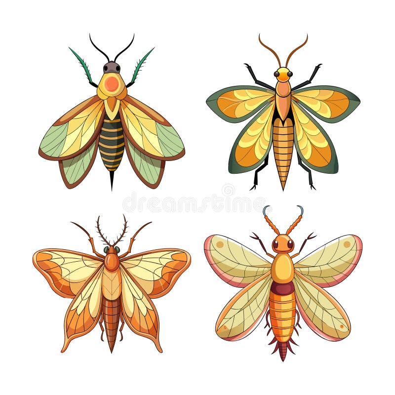 Realistic Color Illustration of Fall Webworm Stock Vector ...
