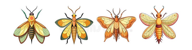 Realistic Color Illustration of Fall Webworm Stock Vector ...