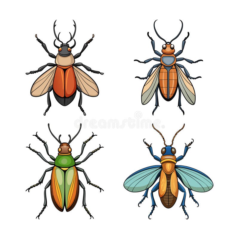 Realistic Color Illustration of Featherwing Beetle Stock Illustration ...