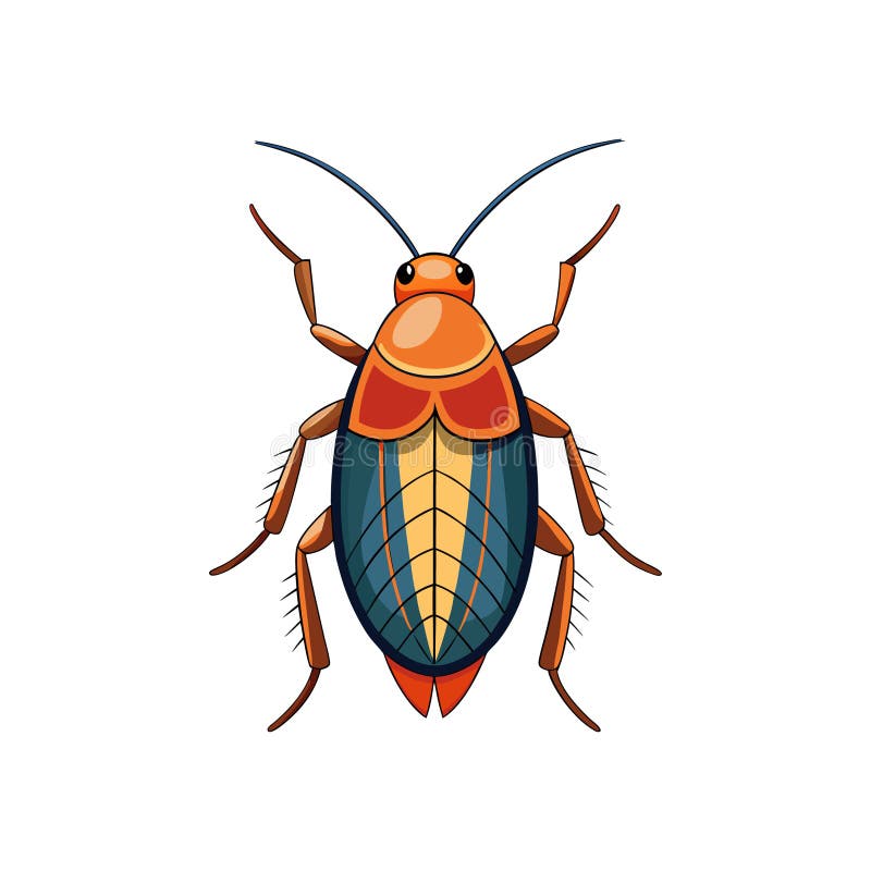 Realistic Color Illustration of German Cockroach Stock Illustration ...