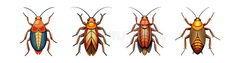 Realistic Color Illustration of German Cockroach Stock Vector ...
