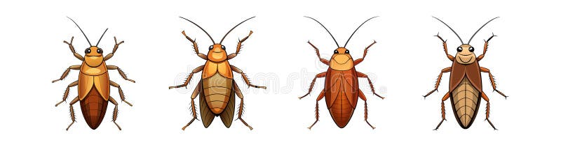 Realistic Color Illustration of German Cockroach Stock Illustration ...