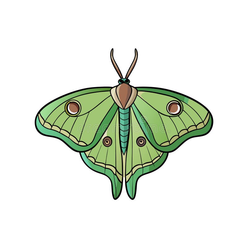 Realistic Color Illustration of Luna Moth Stock Image - Illustration of ...
