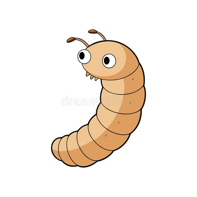 Realistic Color Illustration of Maggot Stock Photo - Illustration of ...