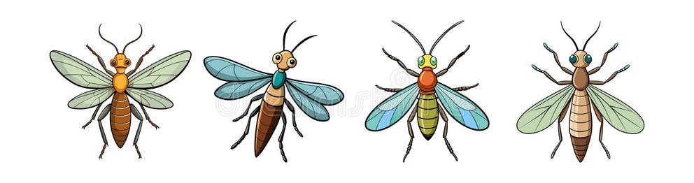 Realistic Color Illustration of Mayfly Stock Illustration ...