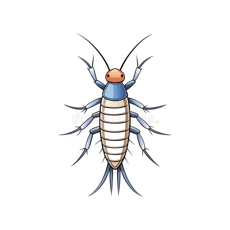 Realistic Color Illustration of Silverfish Stock Illustration ...