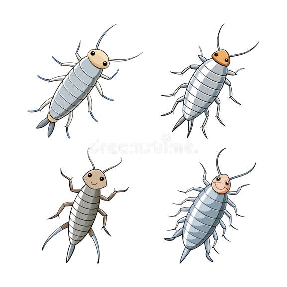 Realistic Color Illustration of Silverfish Stock Illustration ...