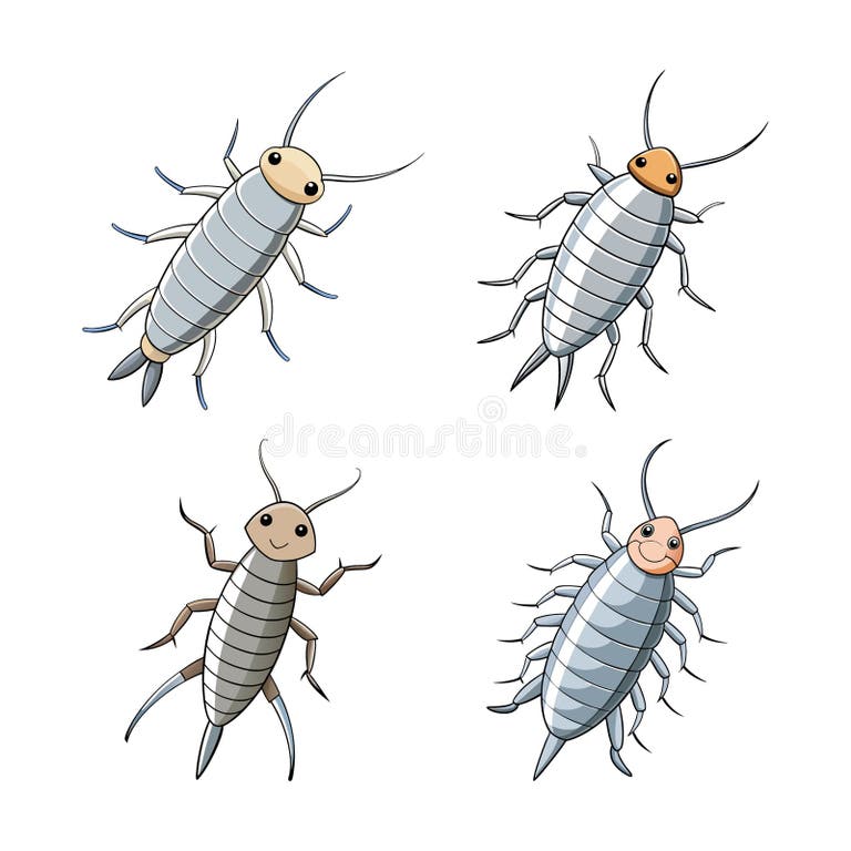 Realistic Color Illustration of Silverfish Stock Vector - Illustration ...