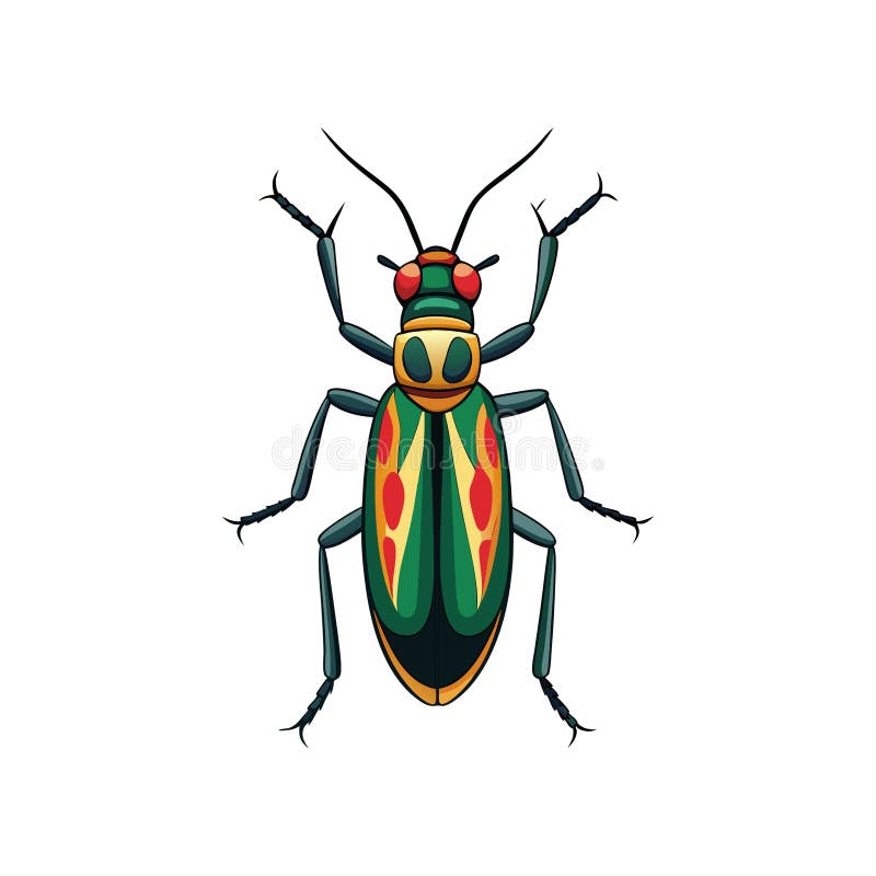 Realistic Color Illustration of Six-Spotted Tiger Beetle Stock Photo ...