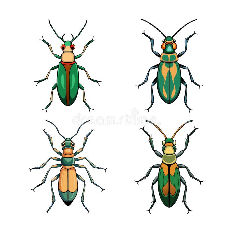 Realistic Color Illustration of Six-Spotted Tiger Beetle Stock Vector ...