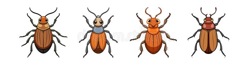 Realistic Color Illustration of Snout Beetle Stock Vector ...