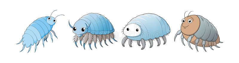 Realistic Color Illustration of Snow Flea Stock Illustration ...