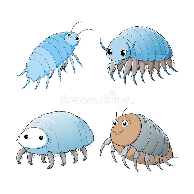Realistic Color Illustration of Snow Flea Stock Vector - Illustration ...