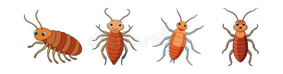 Realistic Color Illustration of Springtail Stock Vector - Illustration ...