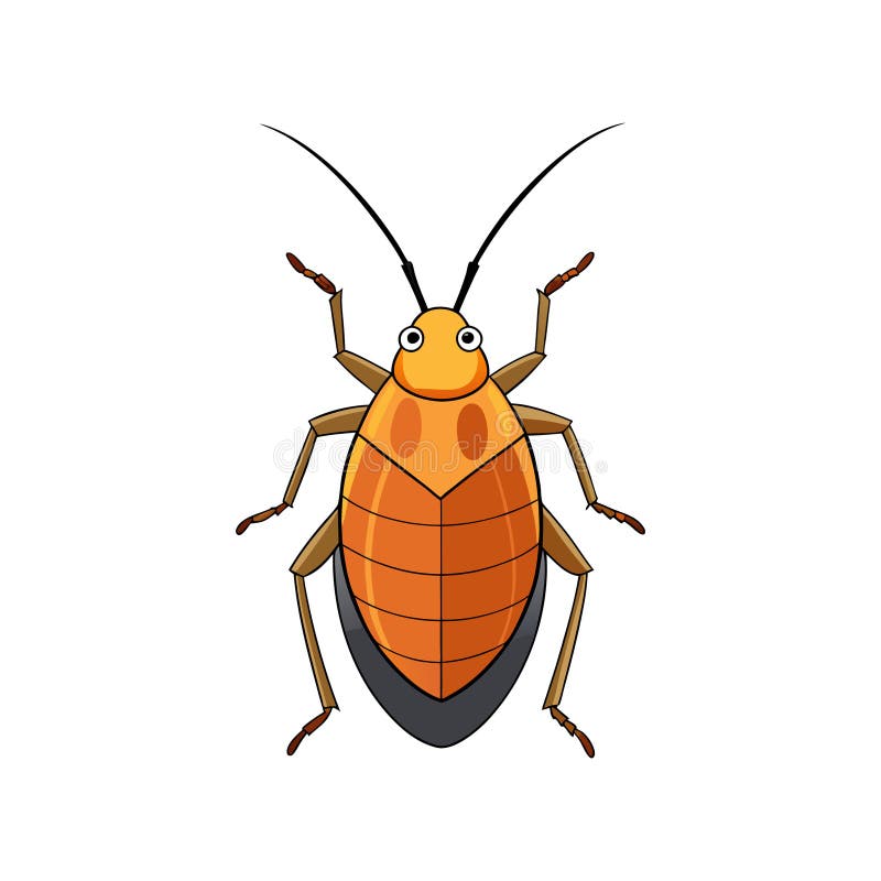 Realistic Color Illustration of Squash Bug Stock Illustration ...