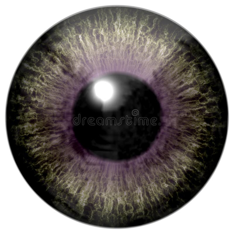 Realistic Colorful Eye Iris Texture Stock Illustration - Illustration ...