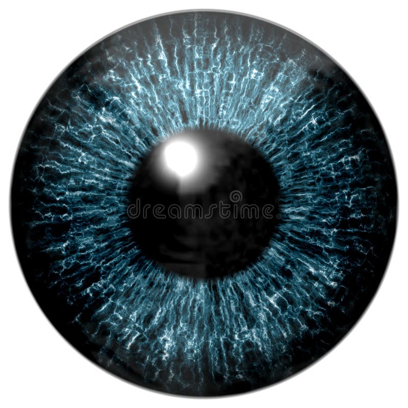 Realistic Colorful Eye Iris Texture Stock Illustration - Illustration ...