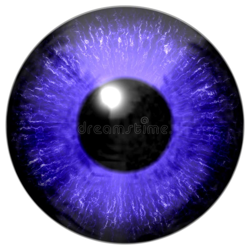 Realistic Colorful Eye Iris Texture Stock Illustration - Illustration ...