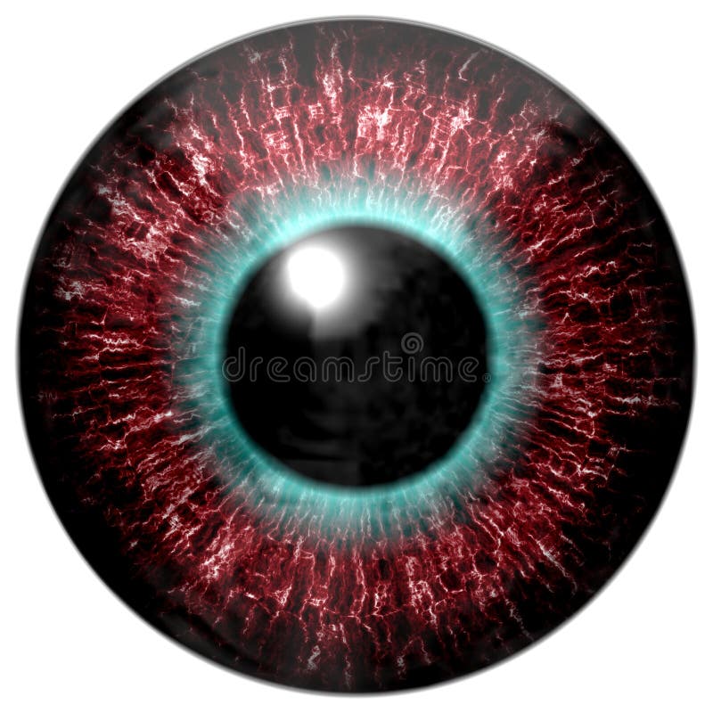 Realistic Colorful Eye Iris Texture Stock Illustration - Illustration ...