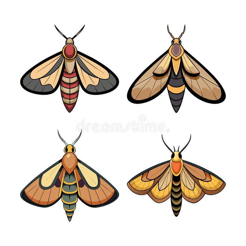 Realistic Colorful Hawk Moth Animal Illustration Stock Illustration ...