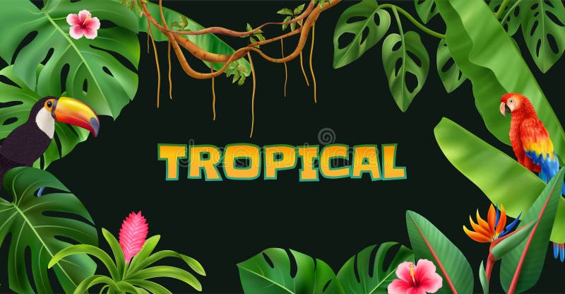 Macrovector - Photographer profile