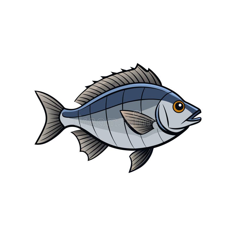 Realistic and Colorful Sea Bream Fish Artwork Stock Illustration ...