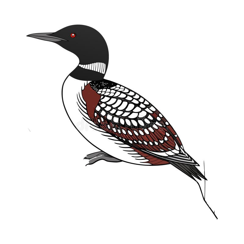 Realistic Common Loon Bird Illustration Stock Illustration ...