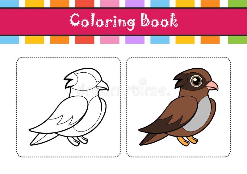 Realistic Common Nighthawk Bird Illustration Stock Vector ...