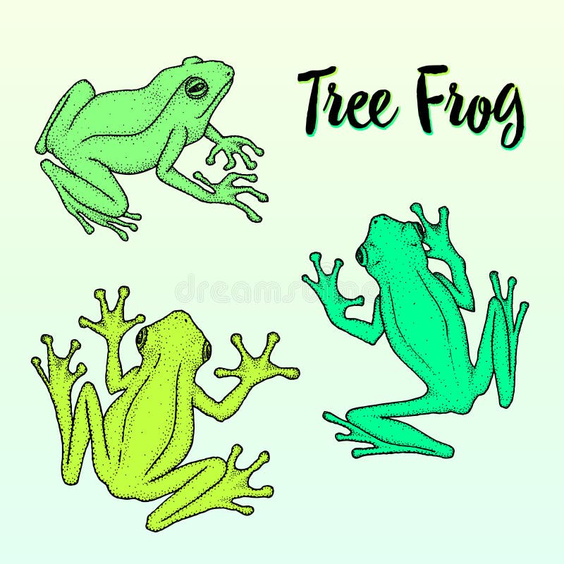 Tree Frogs Black Stock Illustrations – 169 Tree Frogs Black Stock ...
