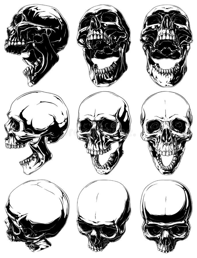 Decrepit skulls stock vector. Illustration of isolated - 29294362